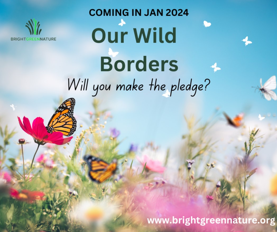 Our Wild Borders - Bright Green Nature