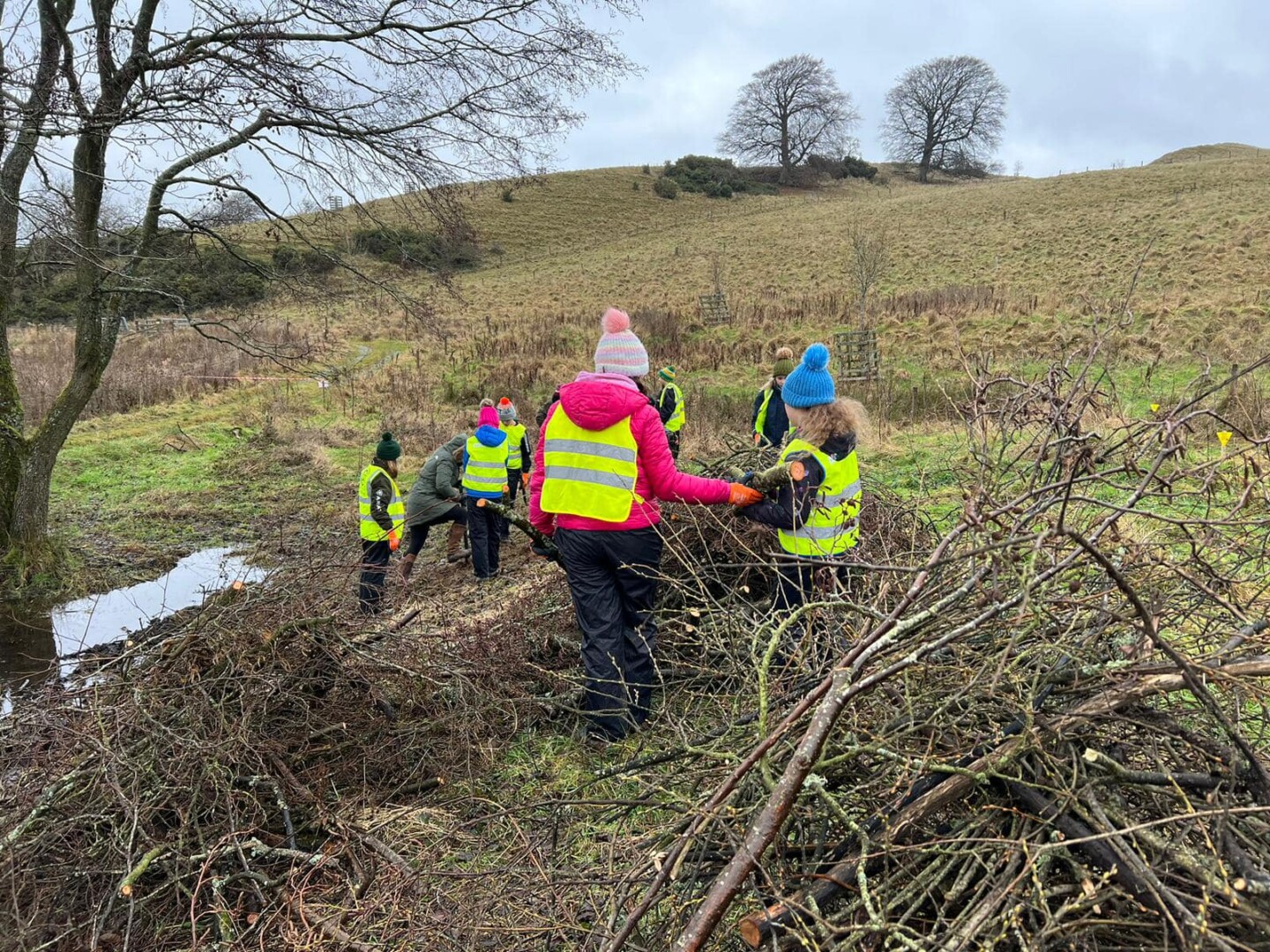 COMMUNITY-DRIVEN REWILDING AND “LIVING CLASSROOM” PLAN FOR HISTORIC ...